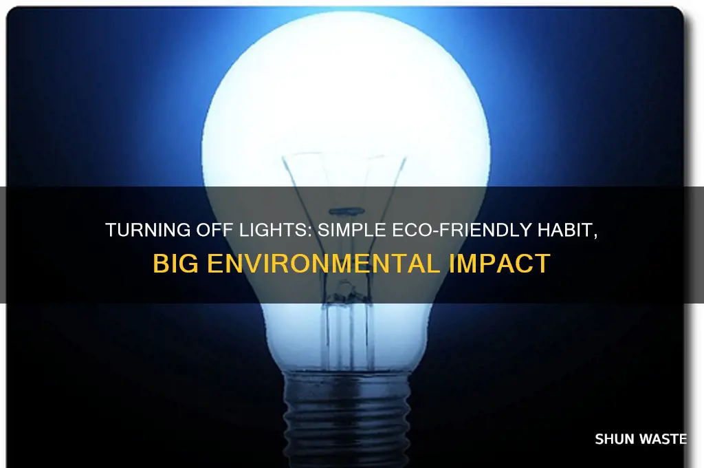 Turning Off Lights: Simple Eco-Friendly Habit, Big Environmental Impact ...