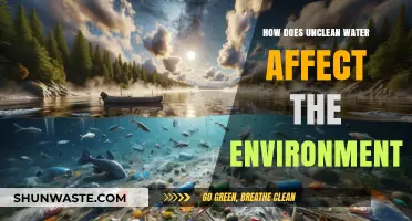 Typhoon's Environmental Impact: Destruction, Ecosystem Disruption, And ...