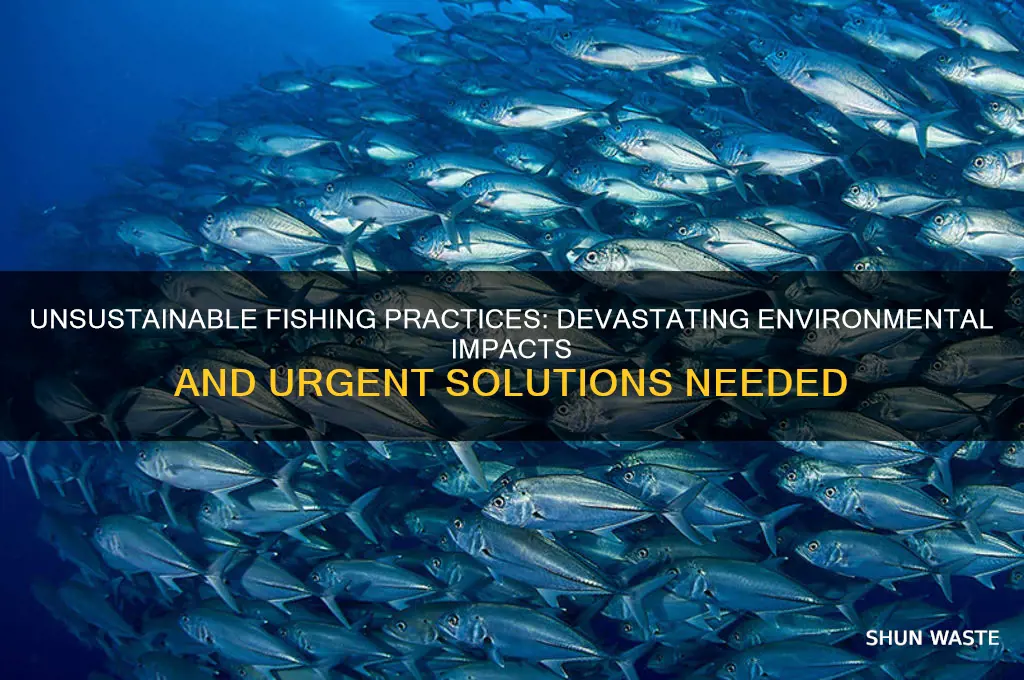 Unsustainable Fishing Practices: Devastating Environmental Impacts And ...