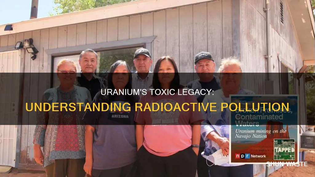 Uranium's Toxic Legacy: Understanding Radioactive Pollution | ShunWaste
