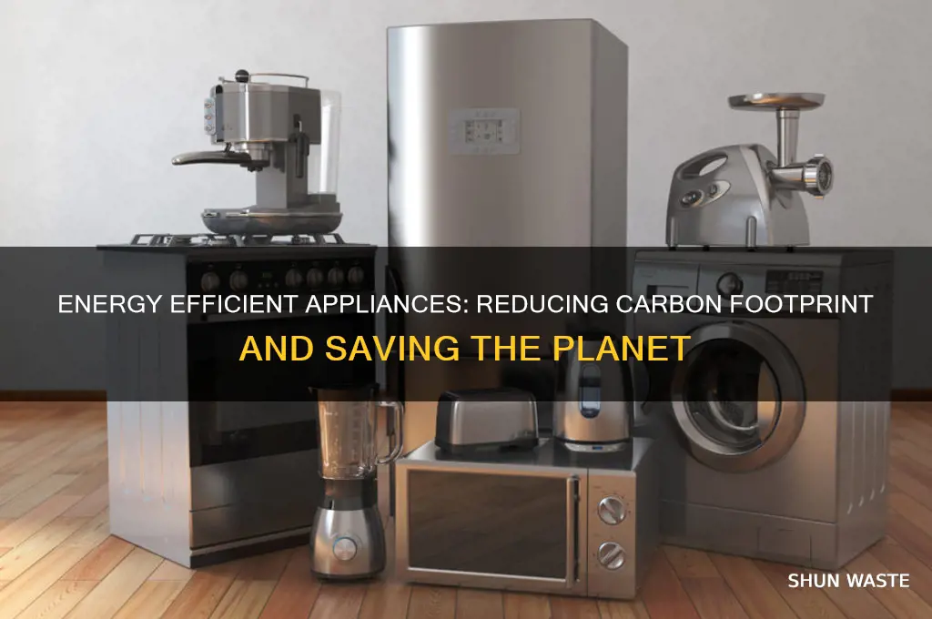 Energy Efficient Appliances: Reducing Carbon Footprint And Saving The ...