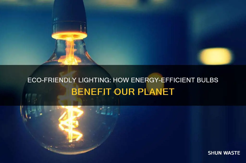 Eco-Friendly Lighting: How Energy-Efficient Bulbs Benefit Our Planet ...
