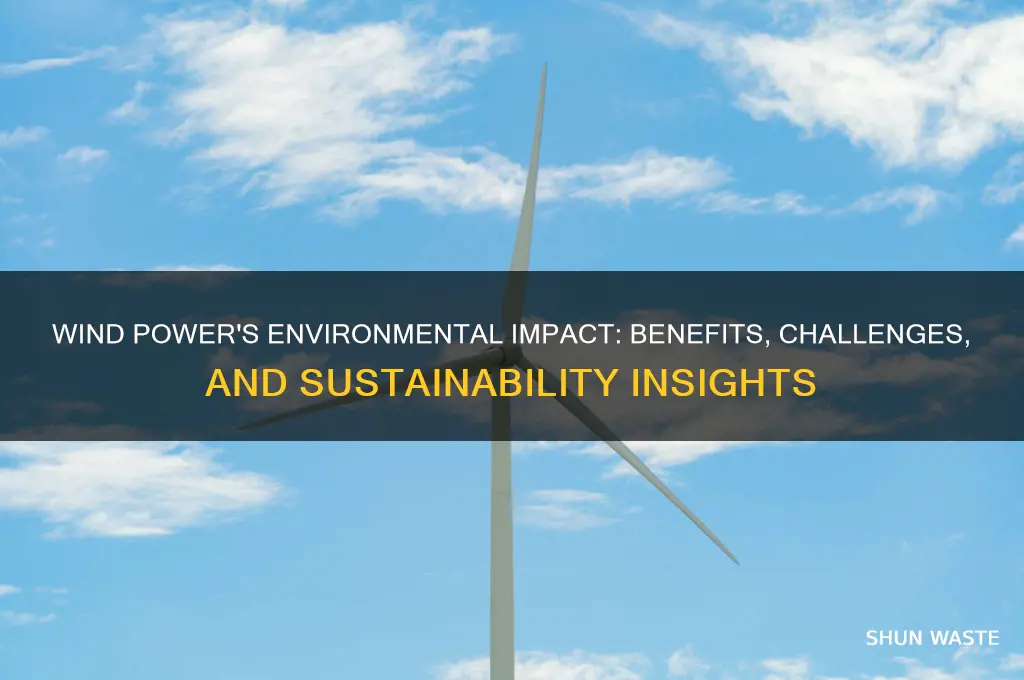 Wind Power's Environmental Impact: Benefits, Challenges, And ...