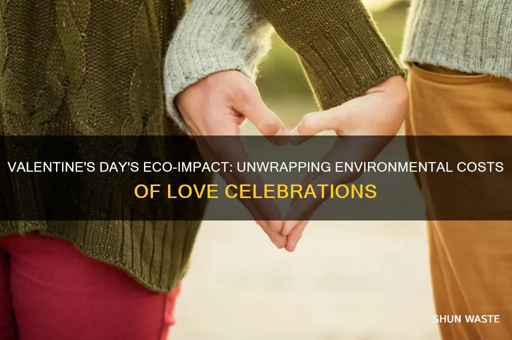 Valentine's Day's Eco-Impact: Unwrapping Environmental Costs Of Love ...