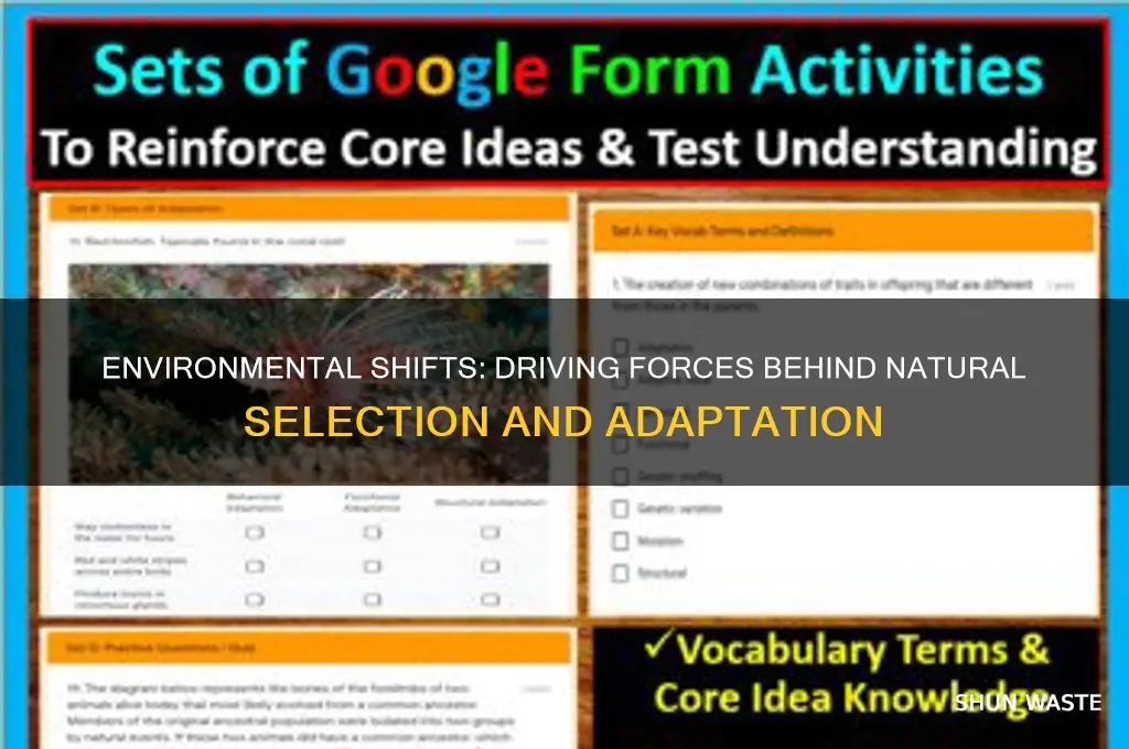Environmental Shifts: Driving Forces Behind Natural Selection And ...