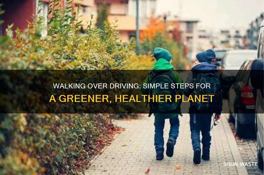 Walking Over Driving: Simple Steps For A Greener, Healthier Planet ...