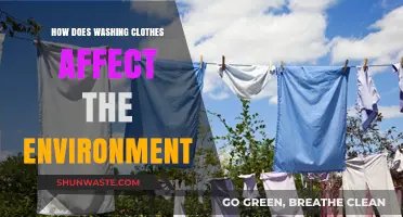 Paper Waste's Environmental Impact: Deforestation, Pollution, And ...
