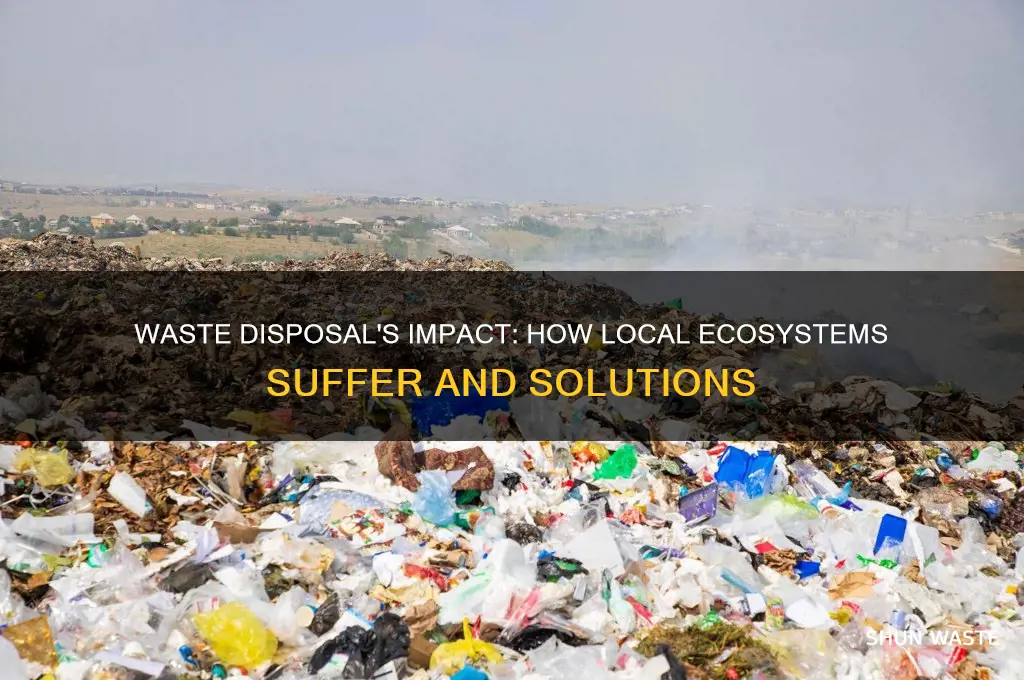 Waste Disposal's Impact: How Local Ecosystems Suffer And Solutions ...