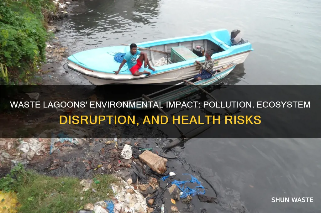 Waste Lagoons' Environmental Impact: Pollution, Ecosystem Disruption ...
