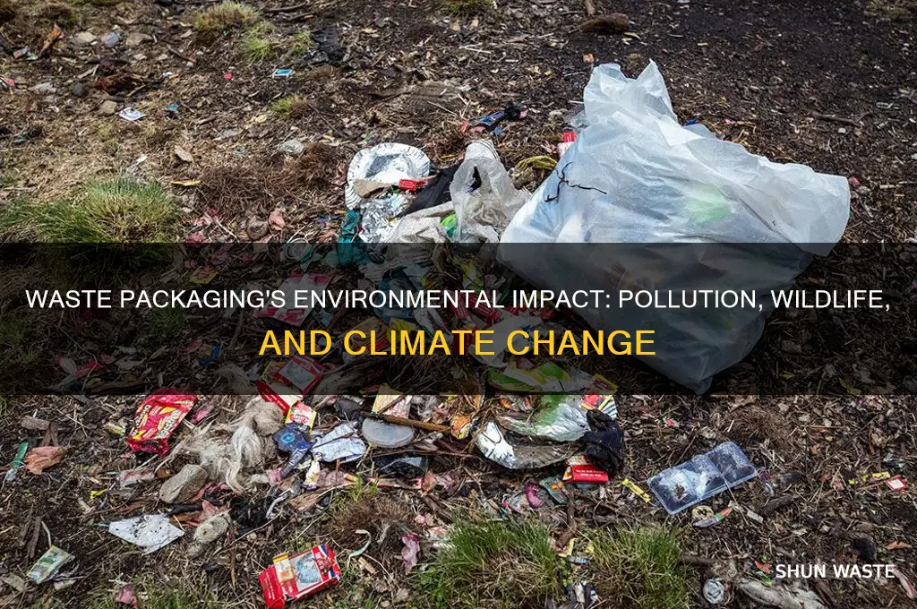 Waste Packaging's Environmental Impact: Pollution, Wildlife, And ...