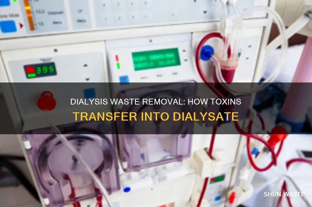 Dialysis Waste Removal: How Toxins Transfer Into Dialysate | ShunWaste