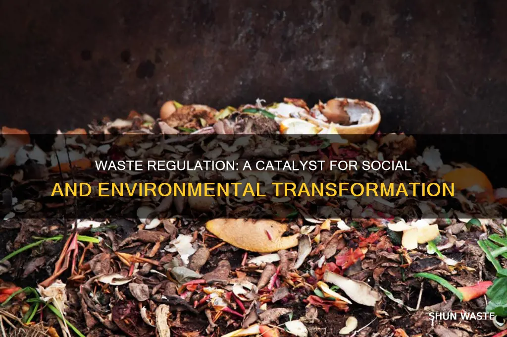 Waste Regulation: A Catalyst For Social And Environmental ...