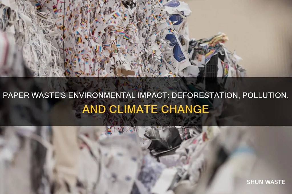 Paper Waste's Environmental Impact: Deforestation, Pollution, And ...