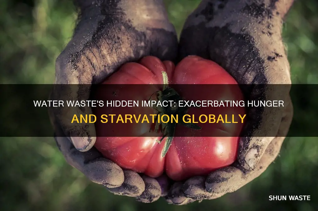 Water Waste's Hidden Impact: Exacerbating Hunger And Starvation ...