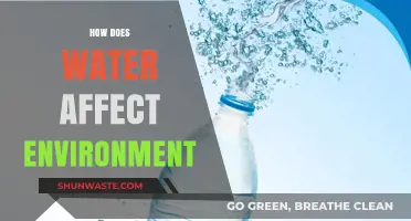 Water Consumption's Environmental Impact: Sustainability, Ecosystems ...