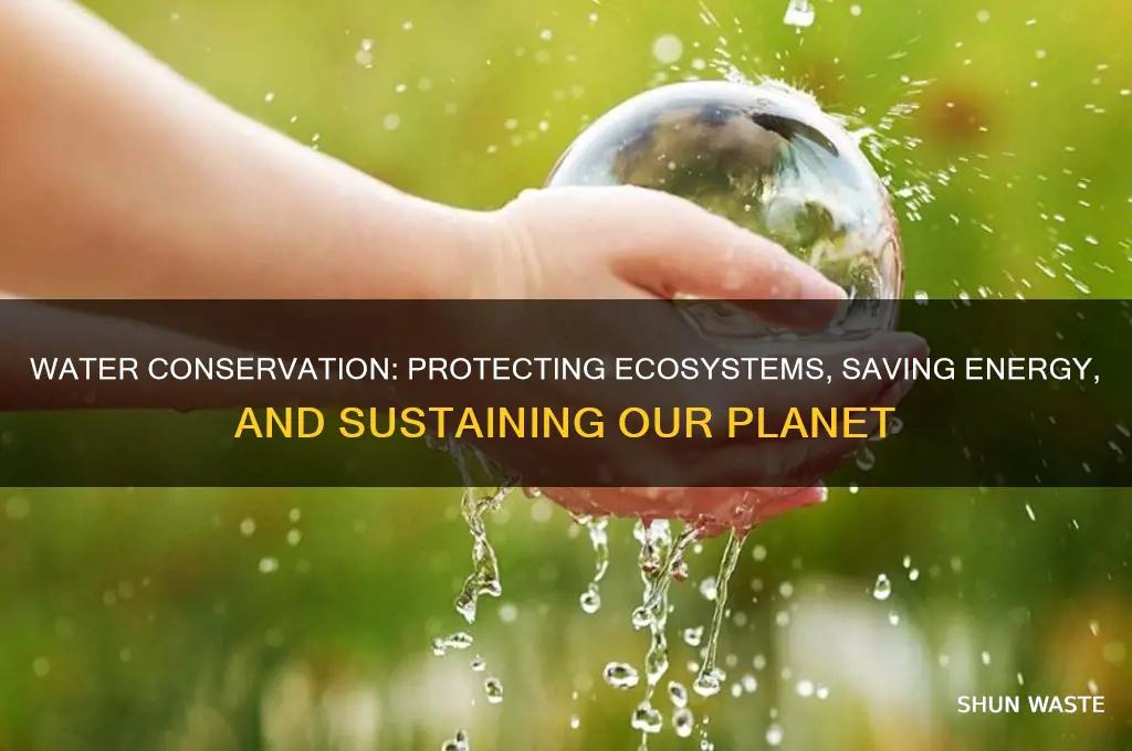 Water Conservation: Protecting Ecosystems, Saving Energy, And ...