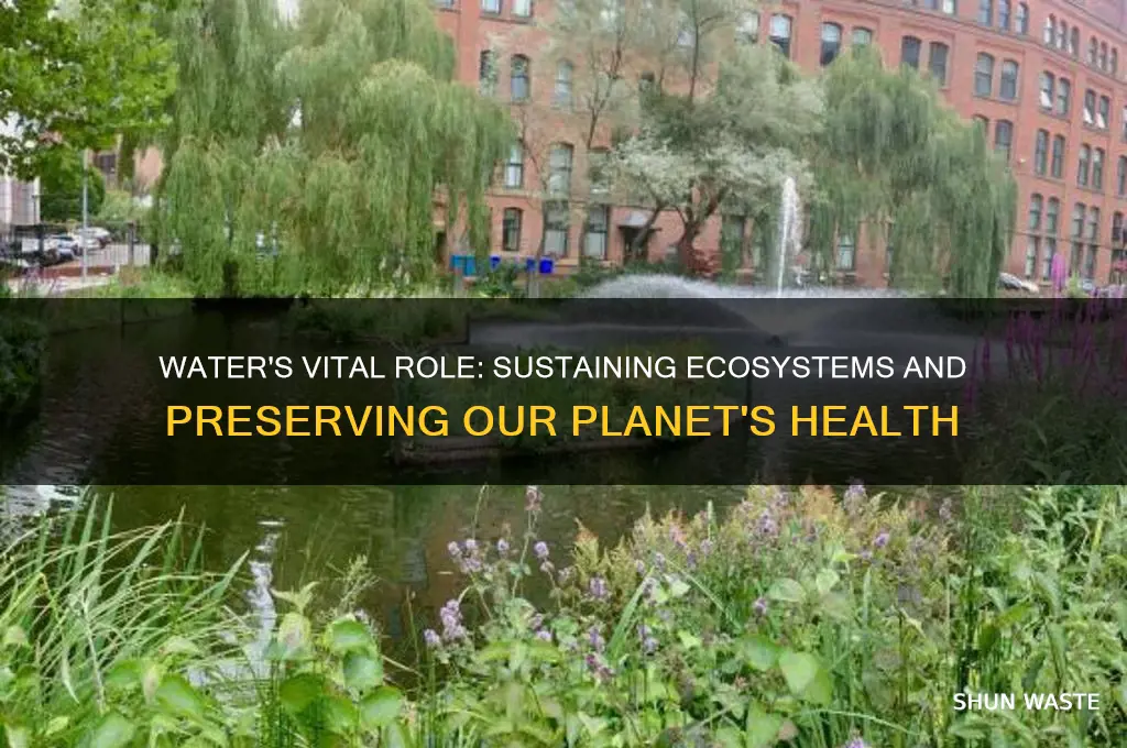 Water's Vital Role: Sustaining Ecosystems And Preserving Our Planet's ...
