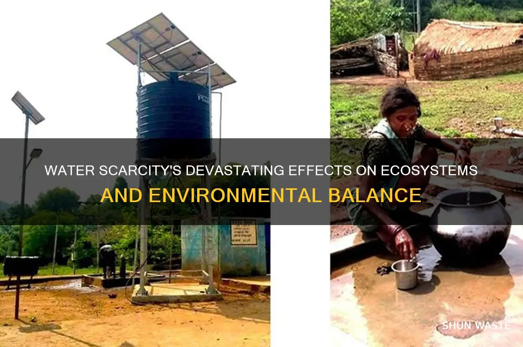 Water Scarcity's Devastating Effects On Ecosystems And Environmental ...