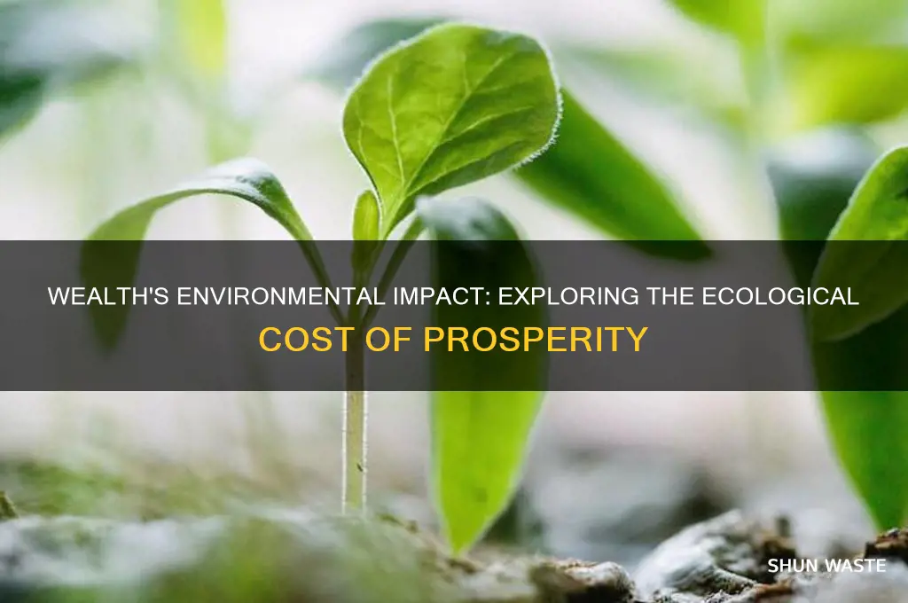 Wealth's Environmental Impact: Exploring The Ecological Cost Of ...