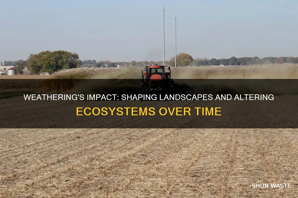 Weathering's Impact: Shaping Landscapes And Altering Ecosystems Over ...