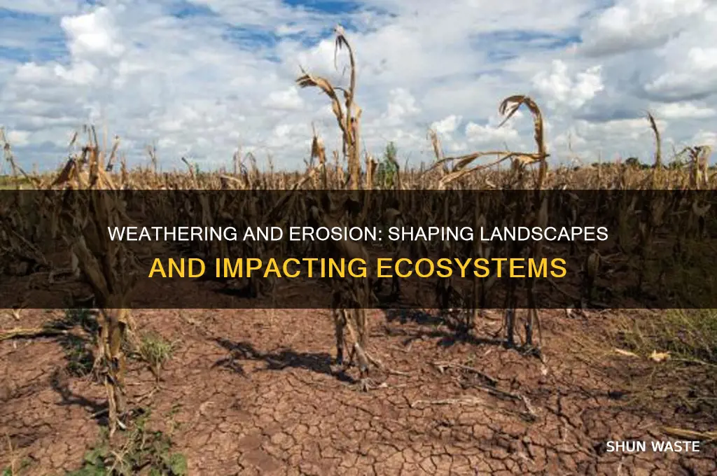 Weathering And Erosion: Shaping Landscapes And Impacting Ecosystems ...