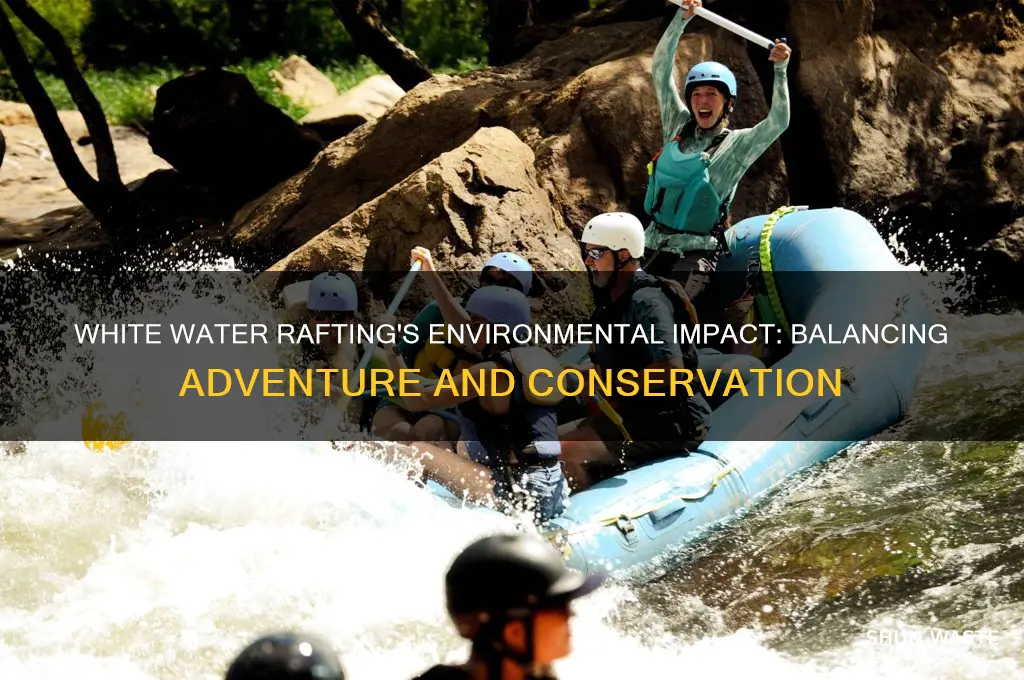 White Water Rafting's Environmental Impact: Balancing Adventure And ...