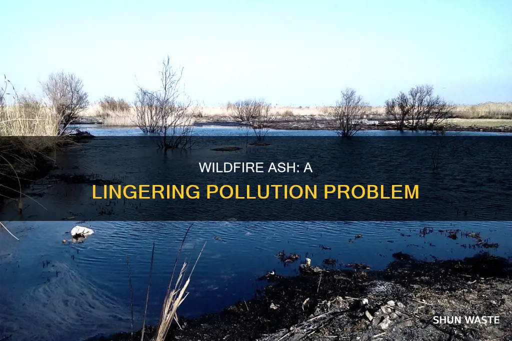Wildfire Ash: A Lingering Pollution Problem | ShunWaste