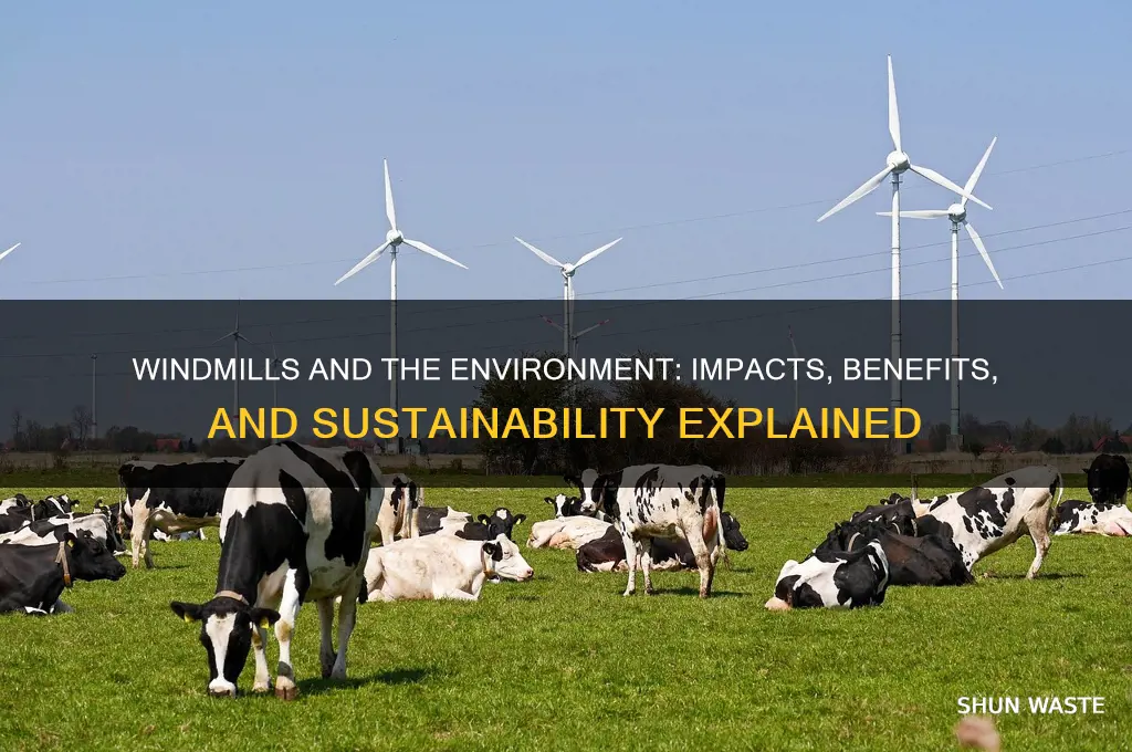 Windmills And The Environment: Impacts, Benefits, And Sustainability ...