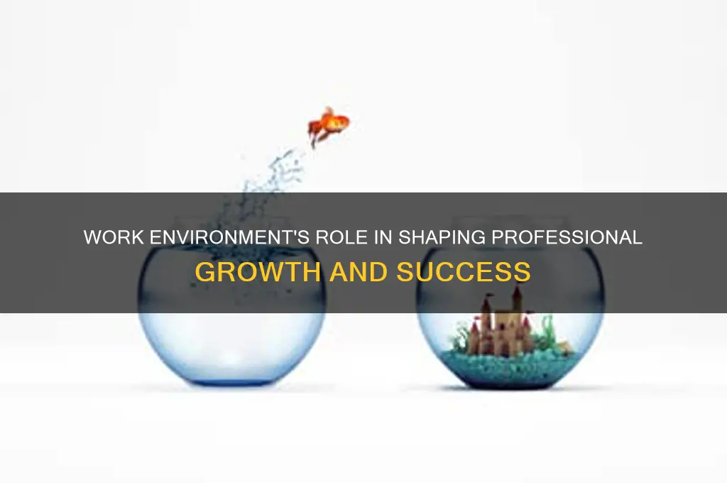 Work Environment's Role In Shaping Professional Growth And Success ...