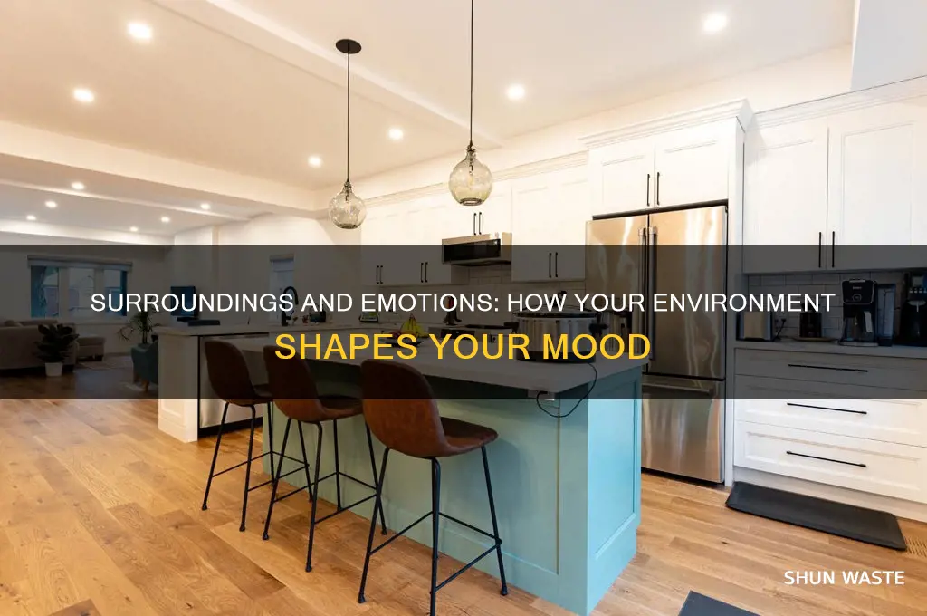 Surroundings And Emotions: How Your Environment Shapes Your Mood ...