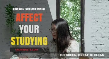 Zara's Environmental Impact: Fast Fashion's Footprint And ...