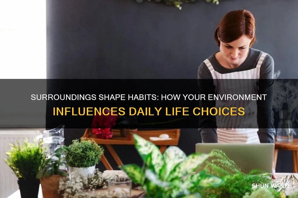 Surroundings Shape Habits: How Your Environment Influences Daily Life ...