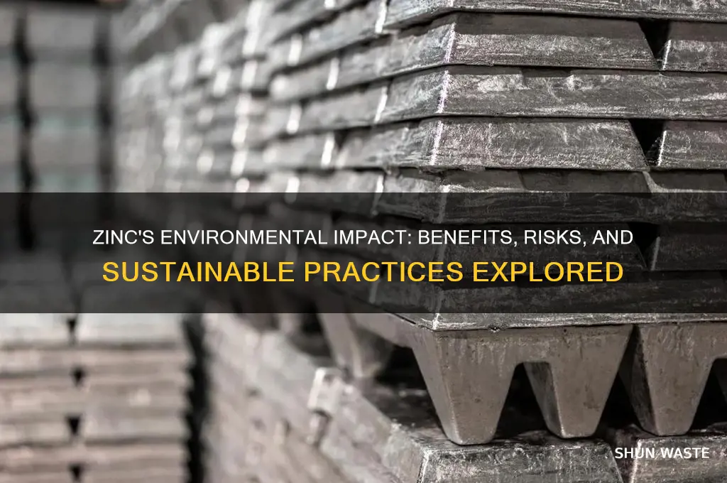 Zinc's Environmental Impact: Benefits, Risks, And Sustainable Practices ...