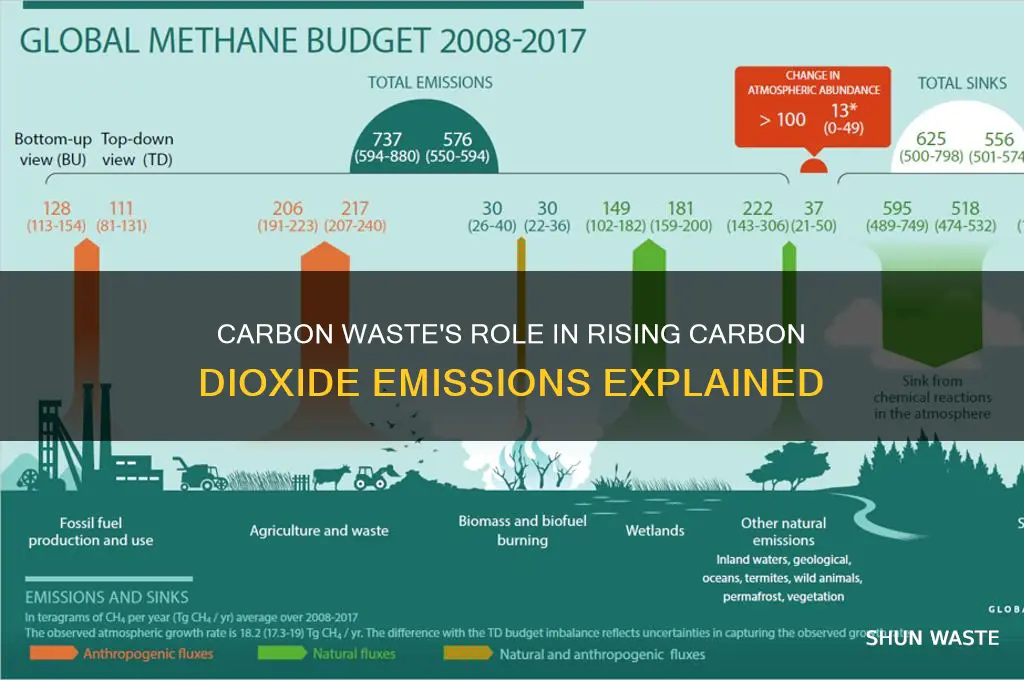 Carbon Waste's Role In Rising Carbon Dioxide Emissions Explained ...