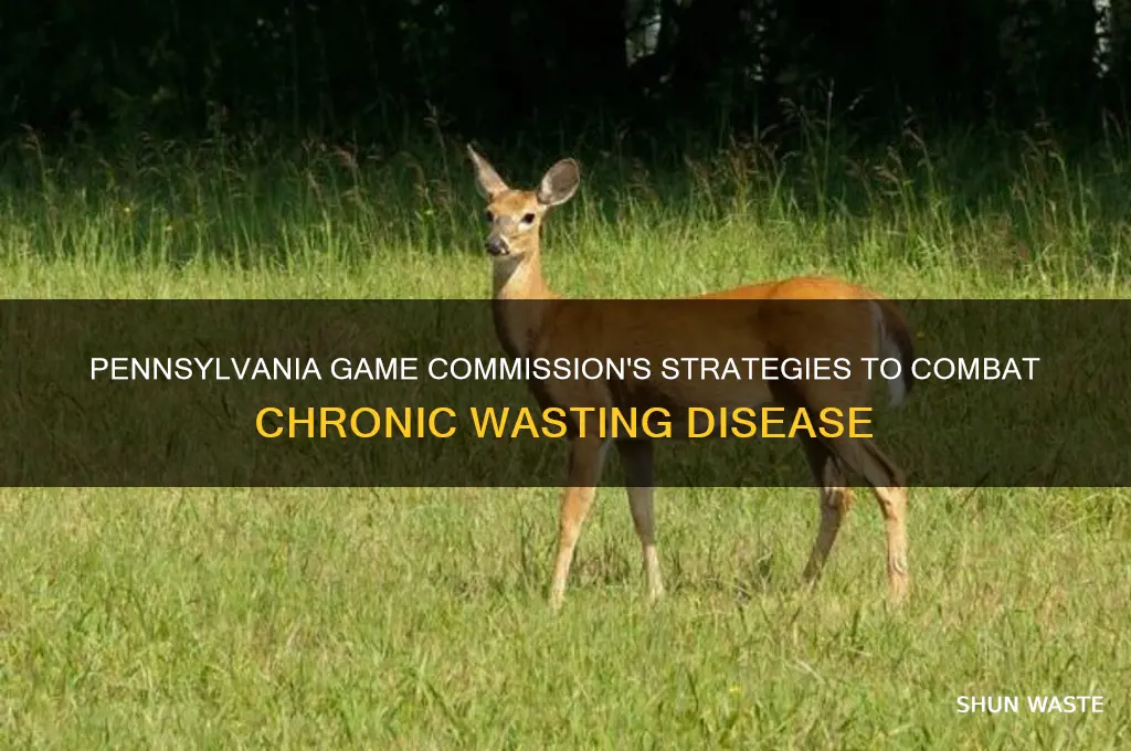 Pennsylvania Game Commission's Strategies To Combat Chronic Wasting ...