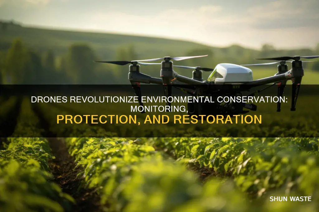 Drones Revolutionize Environmental Conservation: Monitoring, Protection ...