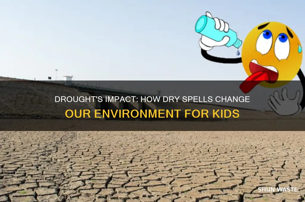 Drought's Impact: How Dry Spells Change Our Environment For Kids ...