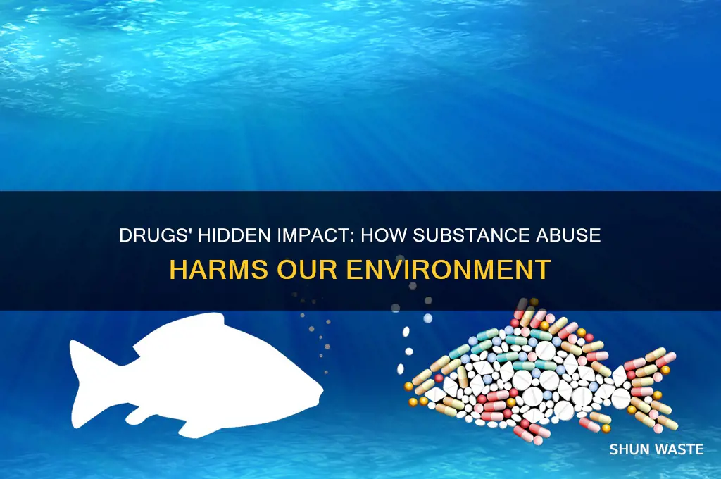 Drugs' Hidden Impact: How Substance Abuse Harms Our Environment | ShunWaste