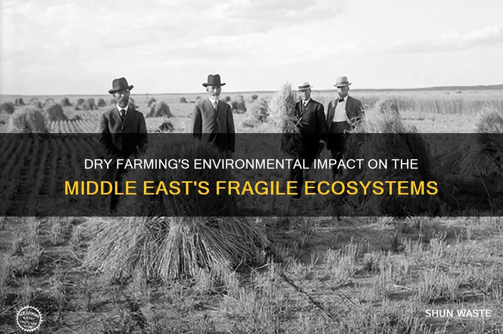 Dry Farming's Environmental Impact On The Middle East's Fragile ...