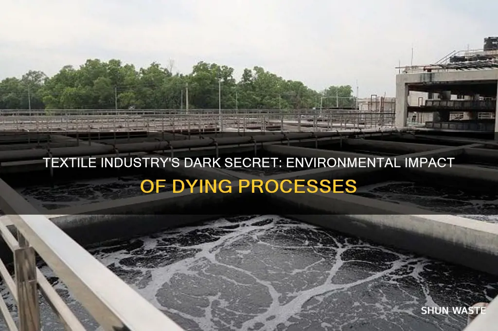 Textile Industry's Dark Secret: Environmental Impact Of Dying Processes ...