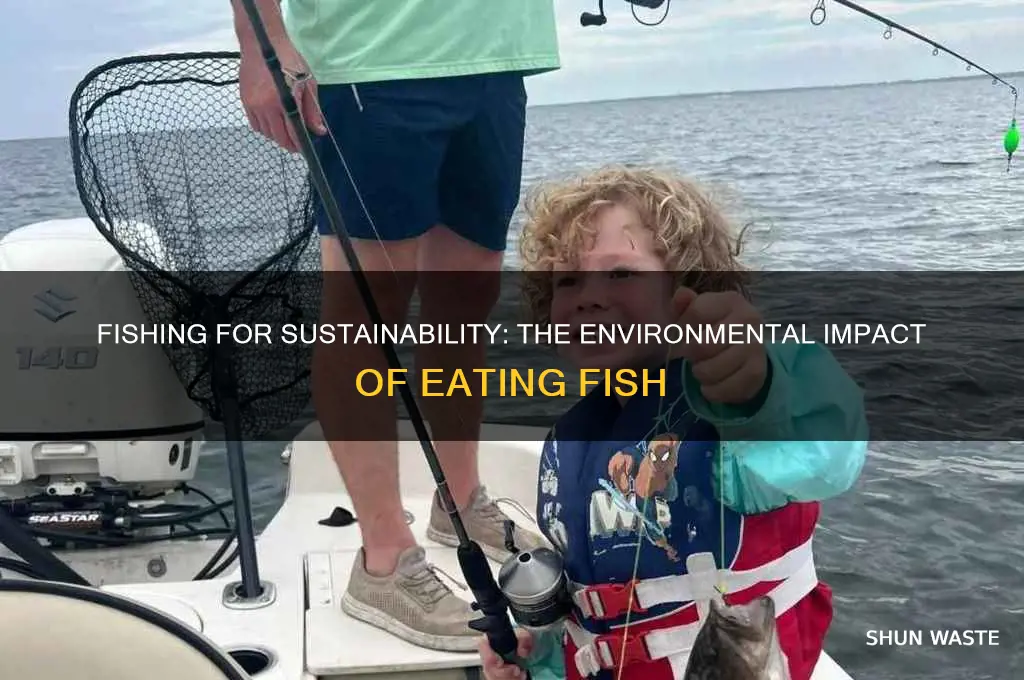Fishing For Sustainability: The Environmental Impact Of Eating Fish ...