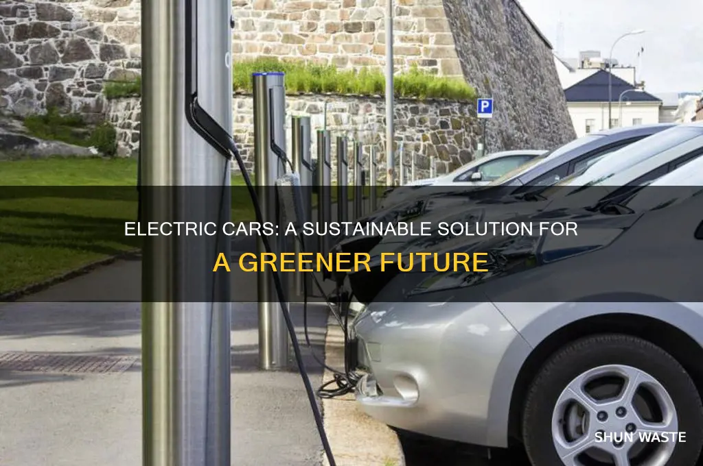 Electric Cars: A Sustainable Solution For A Greener Future | ShunWaste
