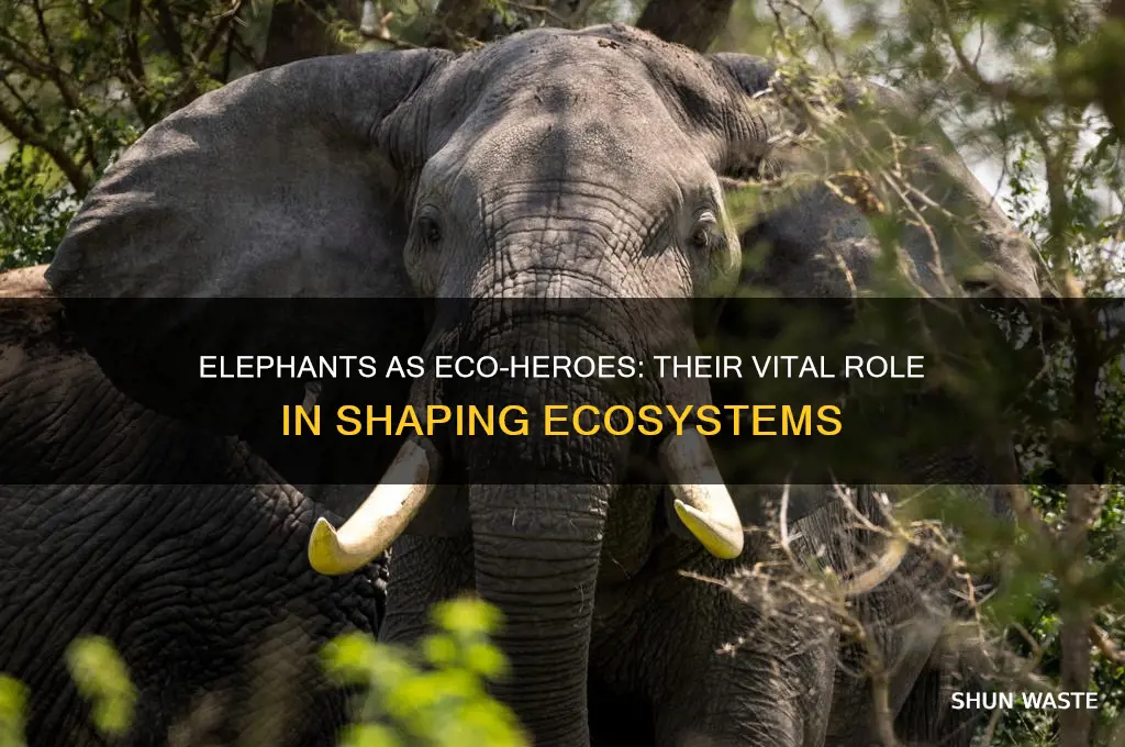 Elephants As Eco-Heroes: Their Vital Role In Shaping Ecosystems | ShunWaste