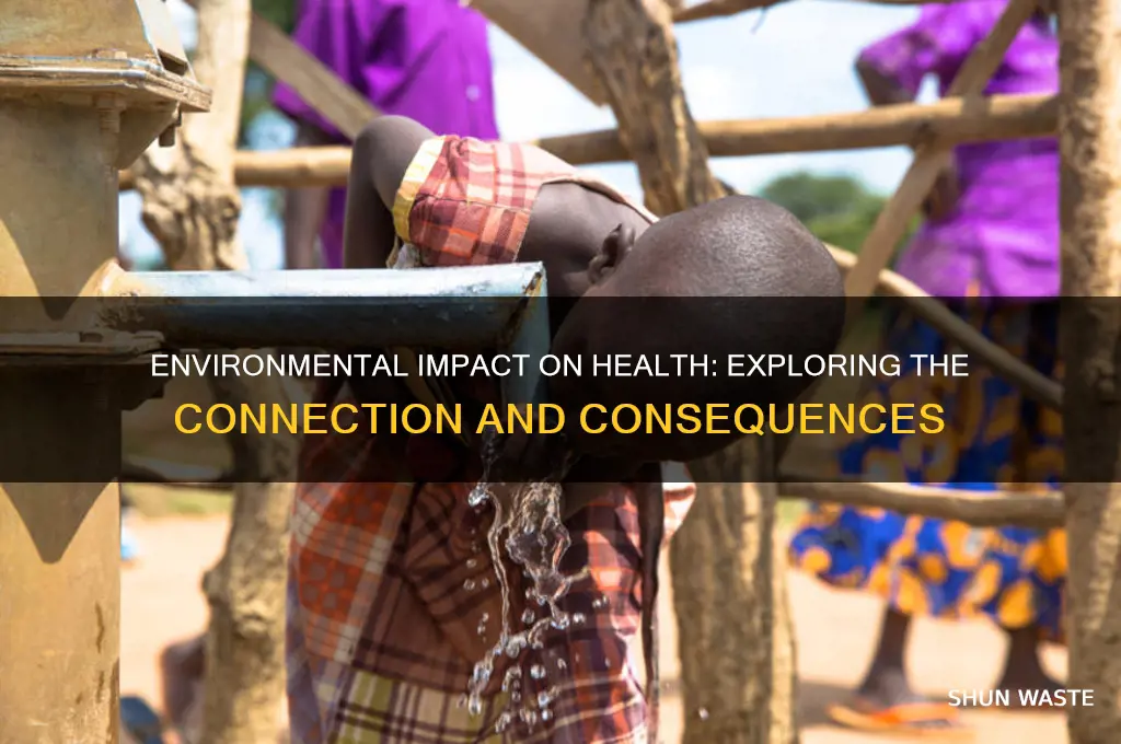 Environmental Impact On Health: Exploring The Connection And ...