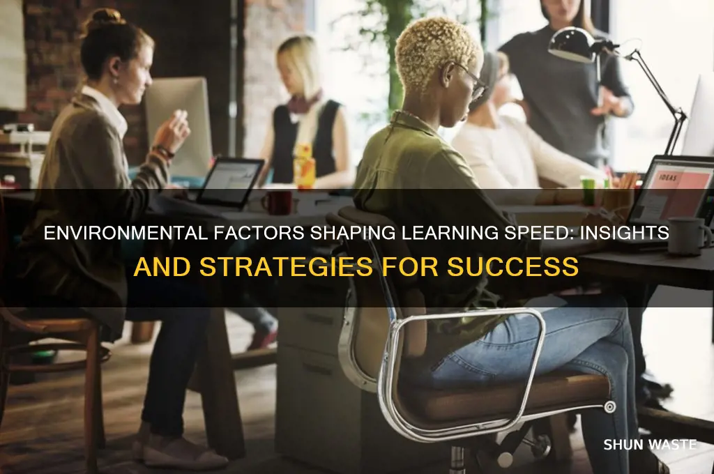 Environmental Factors Shaping Learning Speed: Insights And Strategies ...