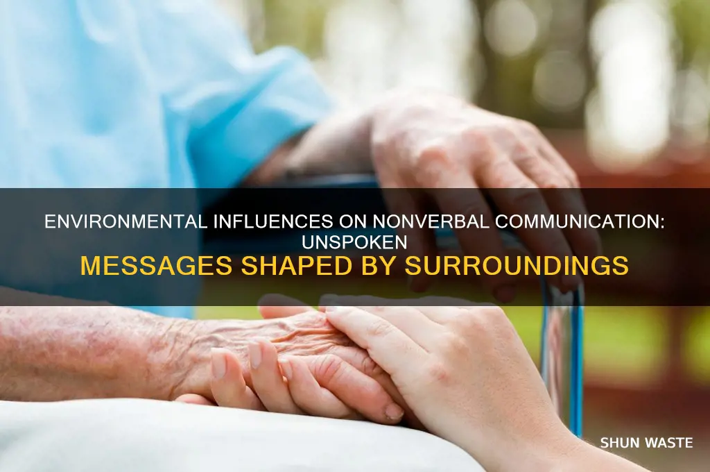 Environmental Influences On Nonverbal Communication: Unspoken Messages ...