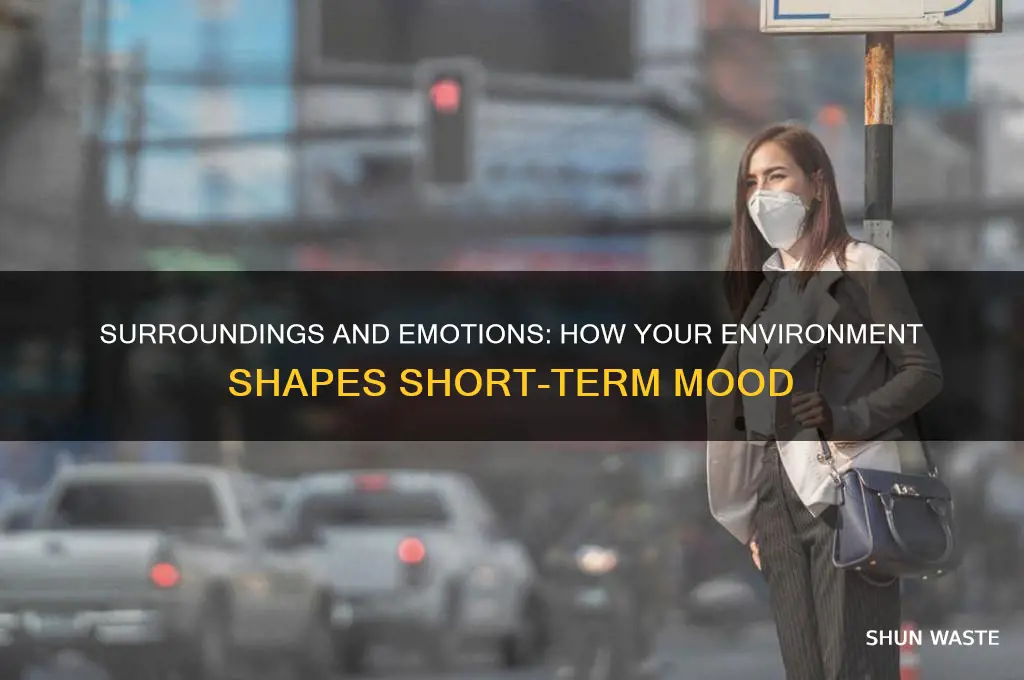 Surroundings And Emotions: How Your Environment Shapes Short-Term Mood ...