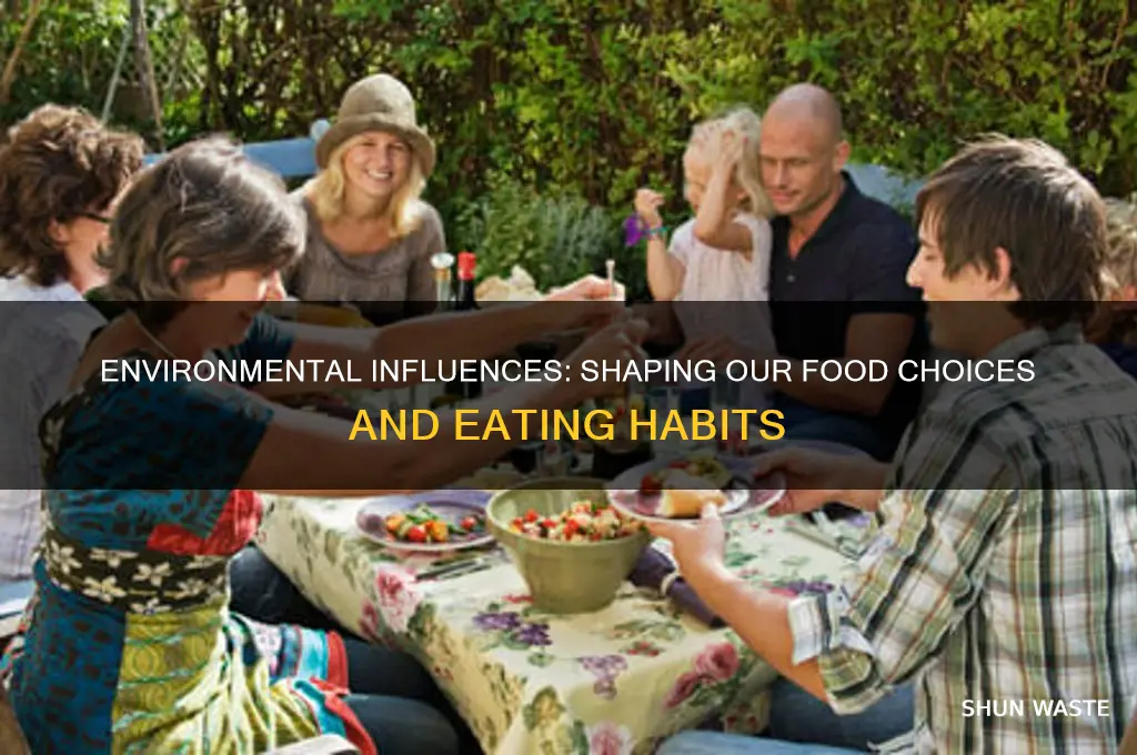 Environmental Influences: Shaping Our Food Choices And Eating Habits ...