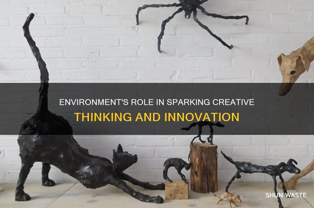 Environment's Role In Sparking Creative Thinking And Innovation | ShunWaste