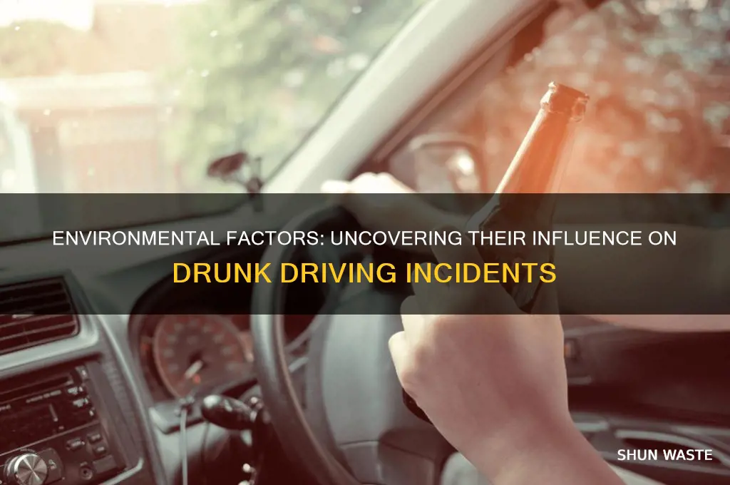 Environmental Factors: Uncovering Their Influence On Drunk Driving ...